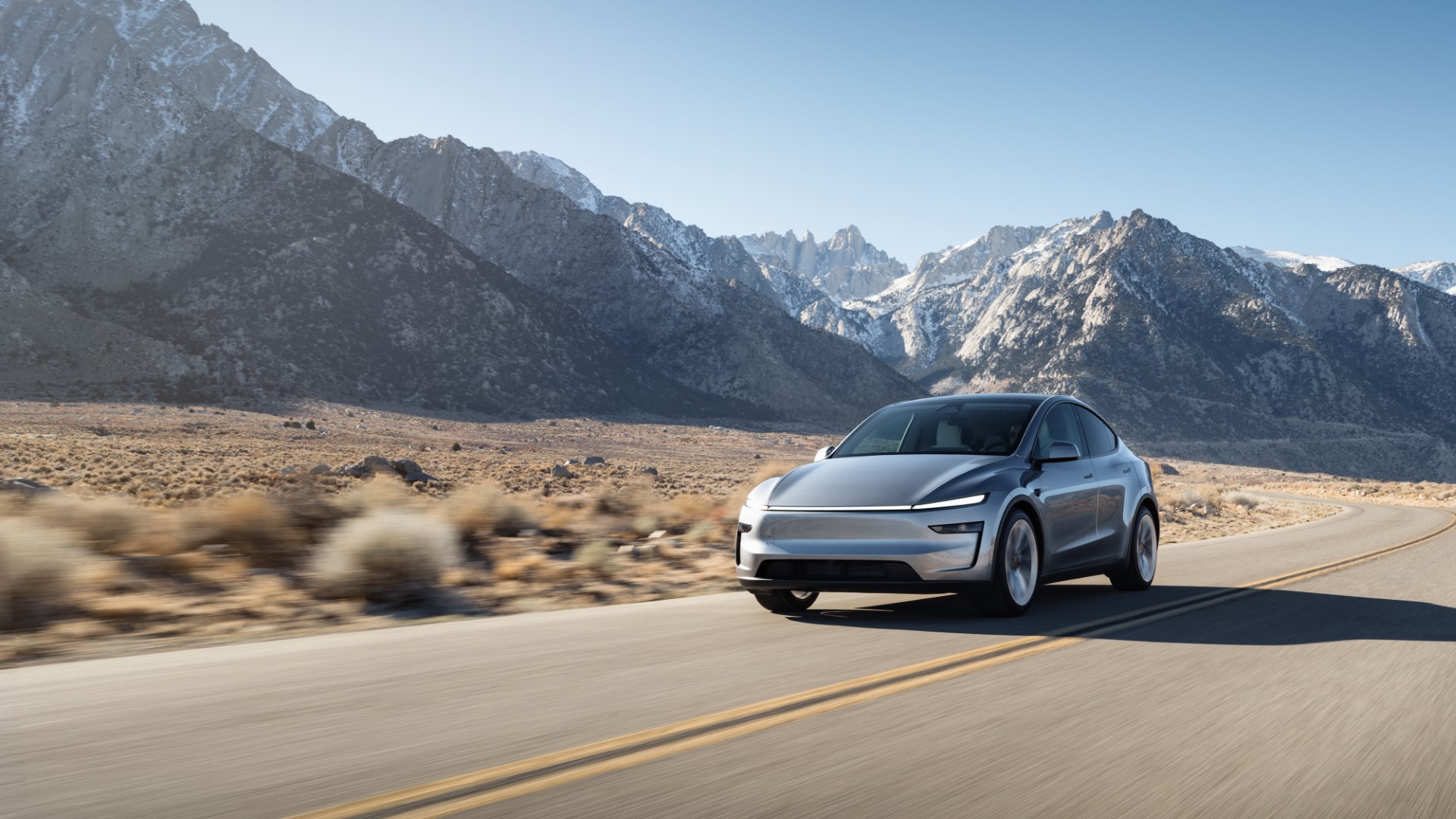 Tesla Unveils Cat-A Friendly Model Y | AutoApp