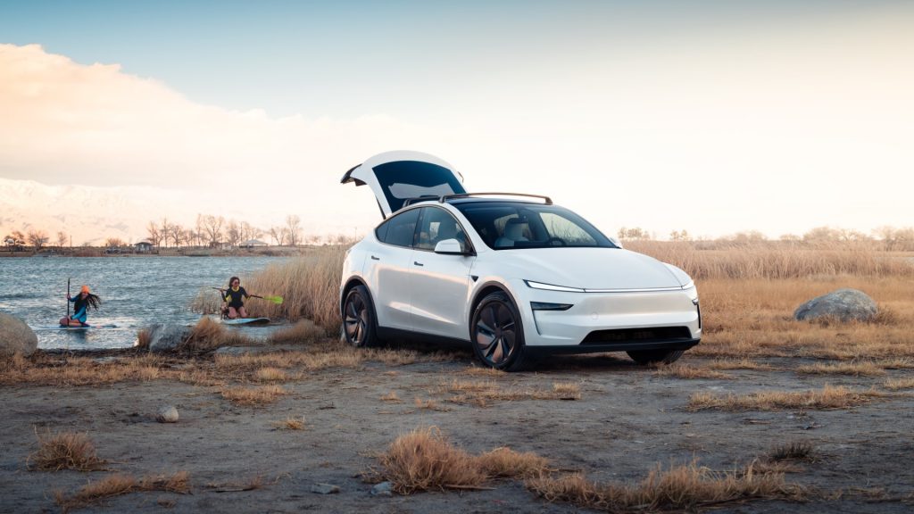 Tesla Unveils Cat-A Friendly Model Y | AutoApp