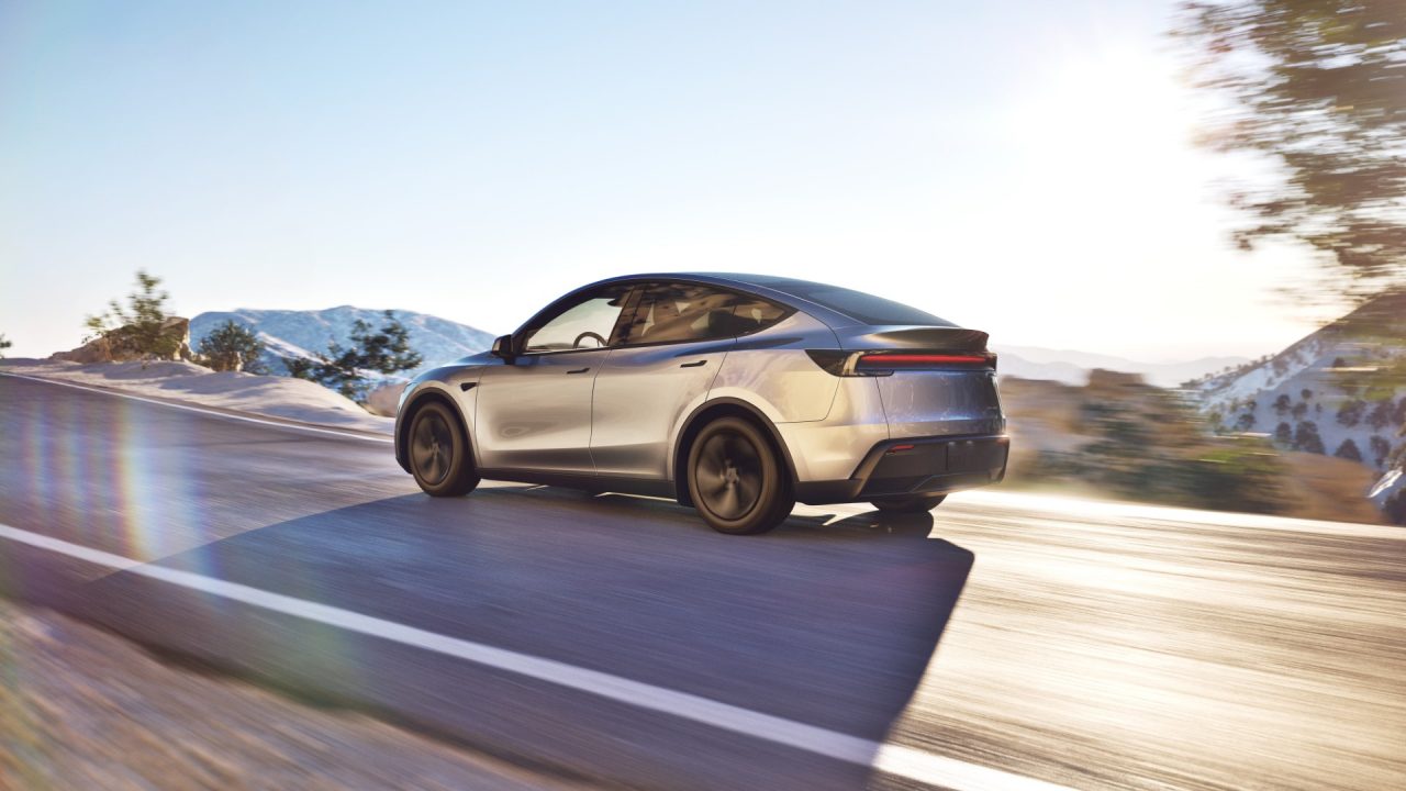 Tesla Unveils Cat-A Friendly Model Y | AutoApp